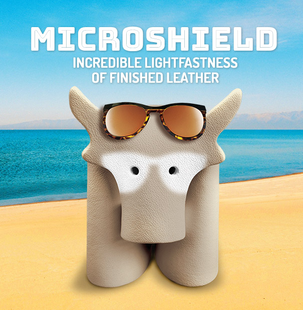 Homepage - Main - Dermacolor