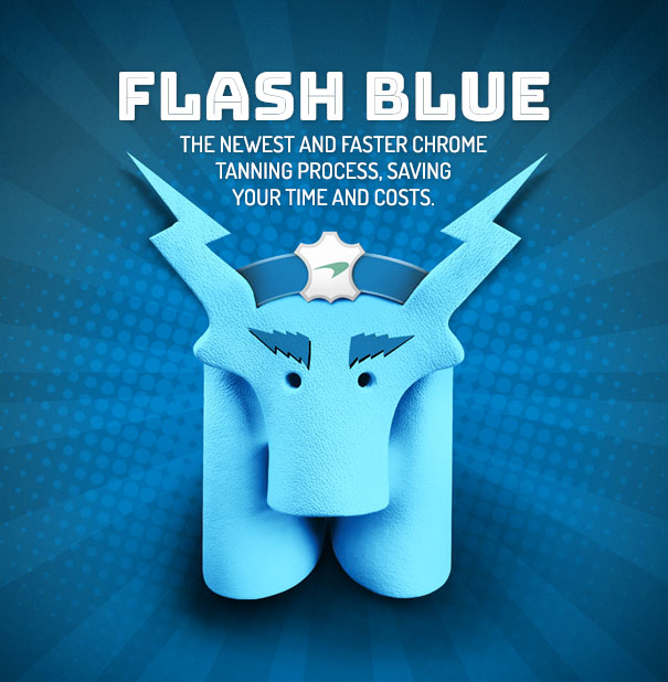 Homepage - Main - Dermacolor